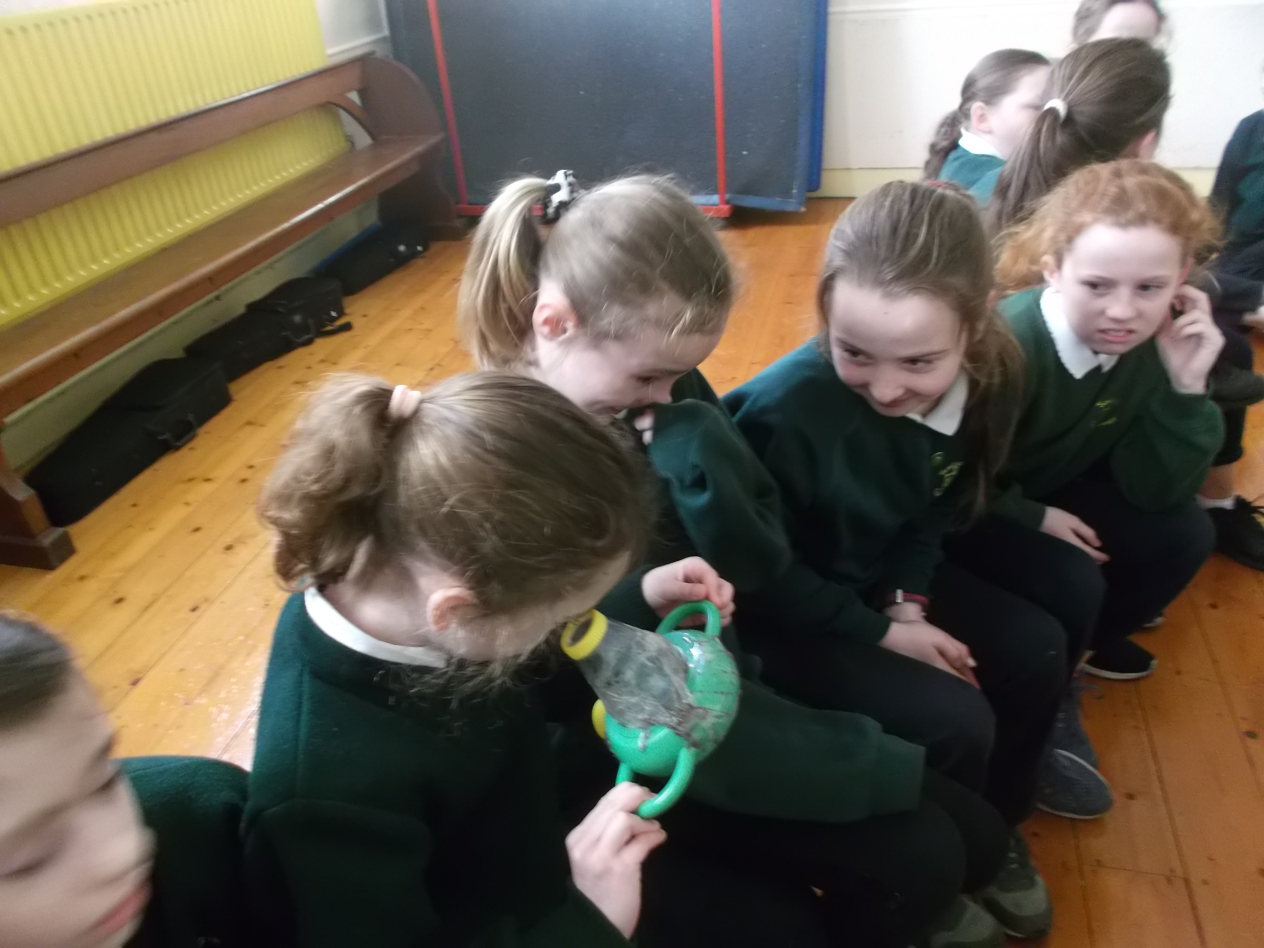An Scoil Ghlas - Gaelscoil Chluain Meala